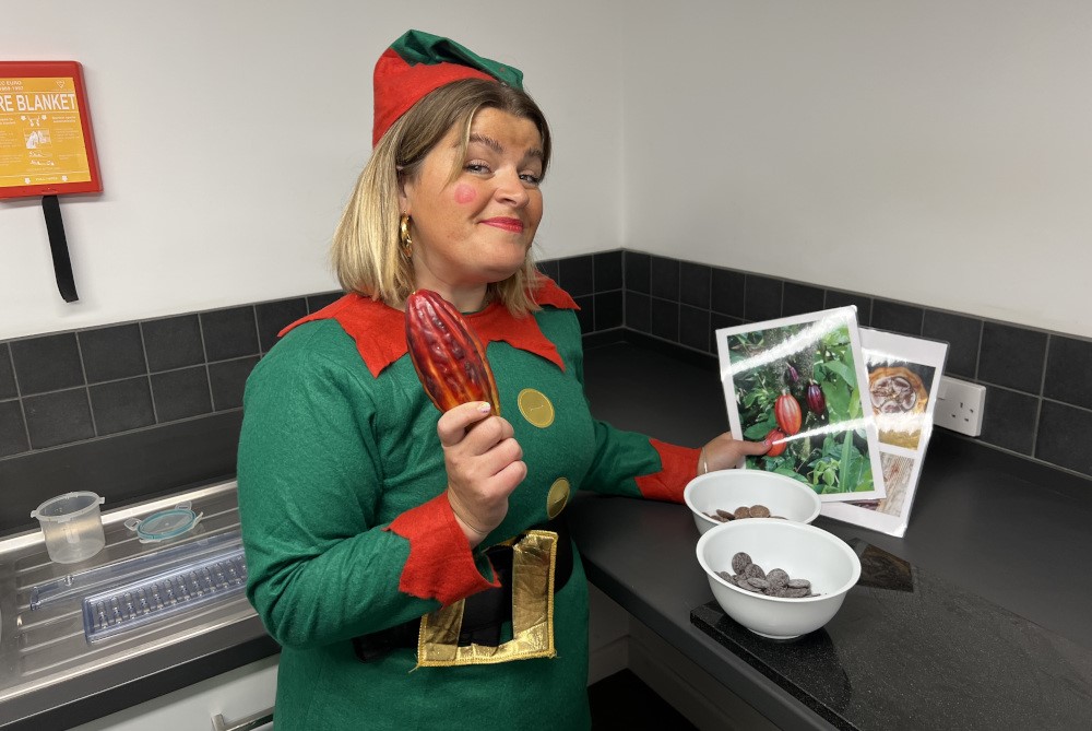 Myers Briggs MBTI Team Theory