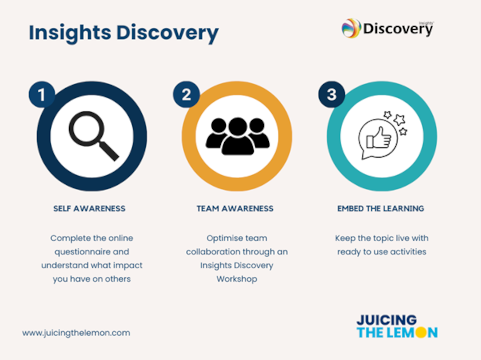 The Insights Discovery Process